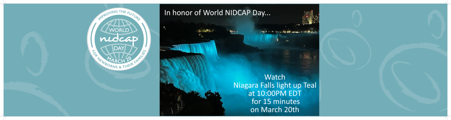 Niagara Falls hero image - NIDCAP